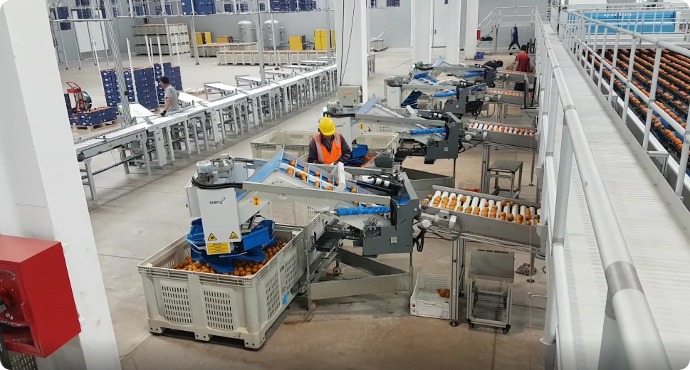 Integration and control - Sienz